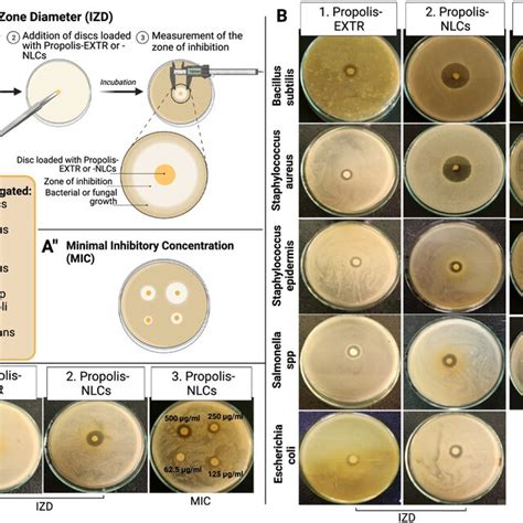 Hydro Alcoholic Extraction Of Raw Grounded Propolis Download