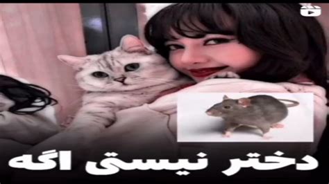 دختر نیستی اگه کپی به شرط دنبال