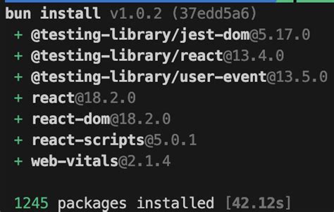Install The Package Different From Bun Npm And Yarn And Warning