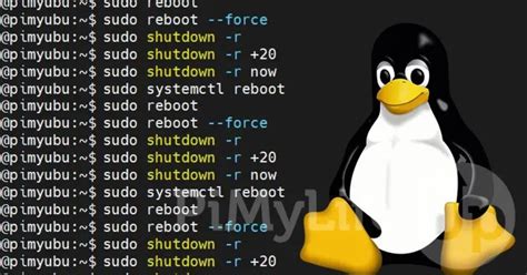 How To Reboot Linux Pishop Blog
