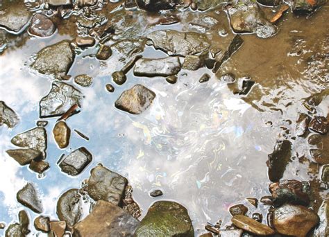 Preliminary Results Of Sheen Released In Ep News Sports Jobs