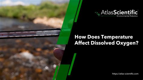 Causes Of Low Dissolved Oxygen In Water Atlas Scientific Causes Of Low Dissolved Oxygen In Water Atlas Scientific