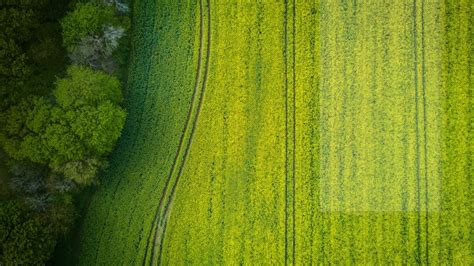 Icma Education And Training On Linkedin Epqatudx