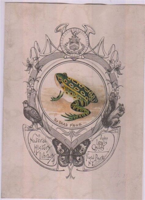 Ex Libris Drawing Illustrations Ex Libris Frog Illustration