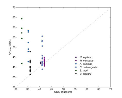 Relationship Between The GC Of Genome And The GC Of Long Interspersed Download Scientific