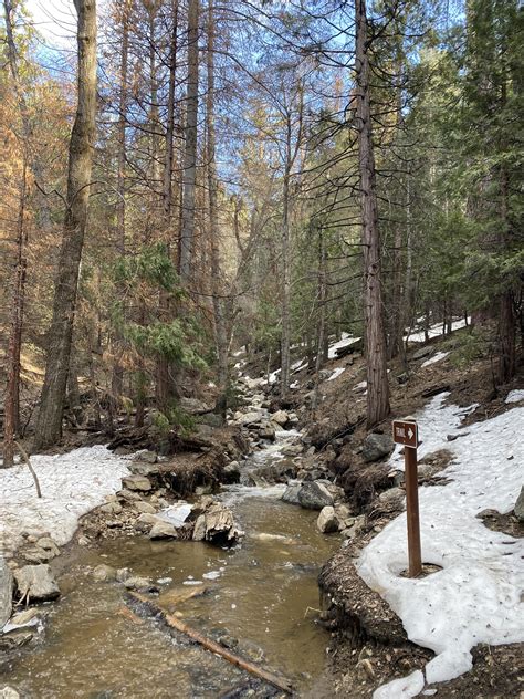 San Bernardino National Forest Camping