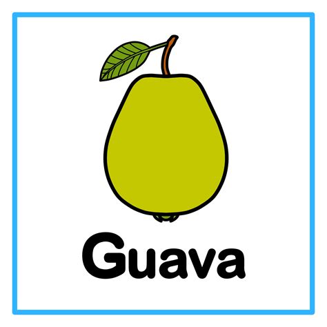Flat Guava Alphabet Illustration 45475674 Vector Art At Vecteezy