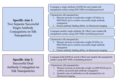 Specific Aims Bme Senior Design Project