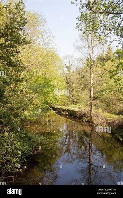 Small Canal Above The River Etherow In Spring At Etherow Country Park