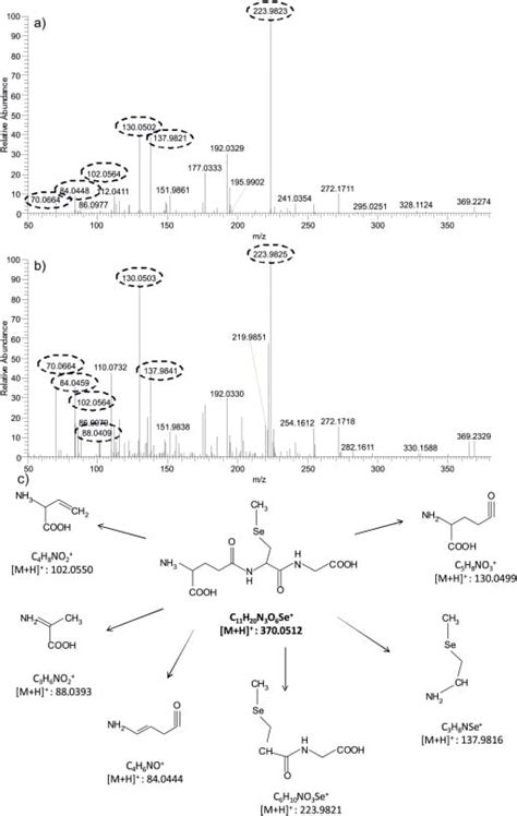 Selenium Toxicity Palillo1s Blog
