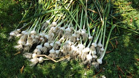 Raspberry Run Farm Added A New Photo Raspberry Run Farm