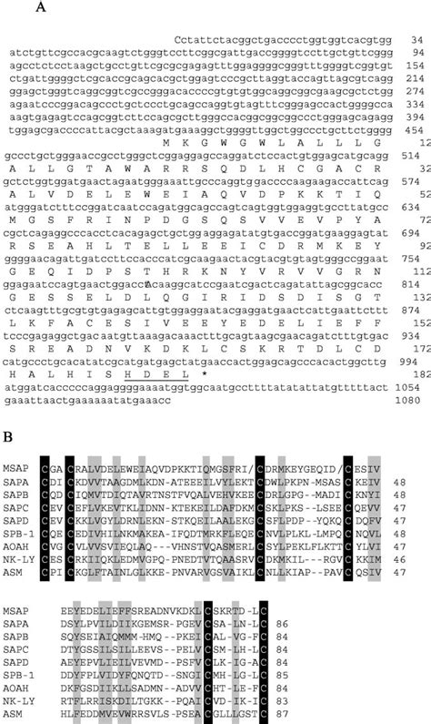 Structure Of Msap And Sequence Comparison A Cdna And Amino Acid