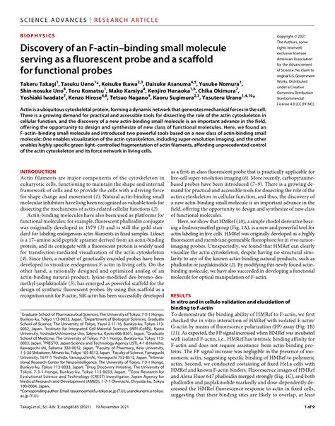 Pdf Discovery Of An F Actin Binding Small Molecule Serving As A