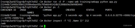 docker 入门 容器互通以及dockerfile csdn博客