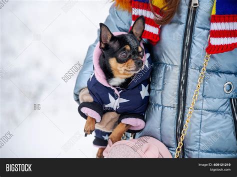 Young Girl Her Warm Image And Photo Free Trial Bigstock