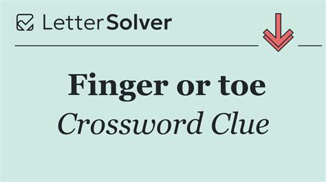 Finger Or Toe Crossword Clue Answers