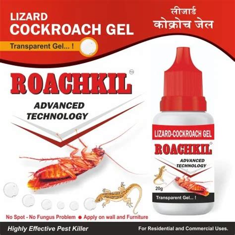 Roachkil Lizard Cockroach Transparant Gel Advanced Technology At Rs 12piece Cockroach Gel In