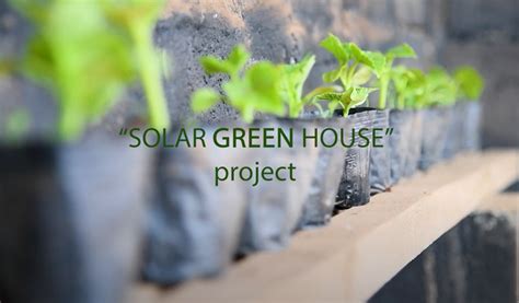 Нарны эрчим хүчийг хүлэмжийн аж ахуйд ажиллуулах нь Дэлхийн Зөн Монгол World Vision Mongolia