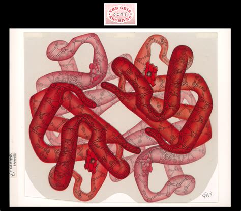 Pdb 101 Geis Archive Oxyhemoglobin