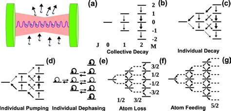 Panel A Shows Two Level Atoms Trapped In A One Dimensional Optical