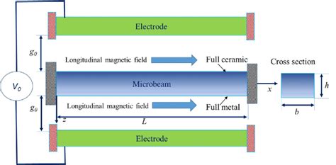 2d Modelling Of An Electrostatically Actuated Fg Microbeam Under Download Scientific Diagram