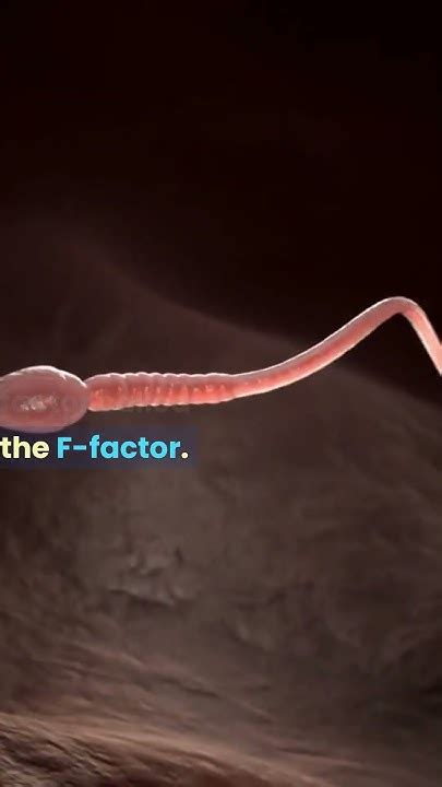Sex Factor In Bacteria Neet Youtube