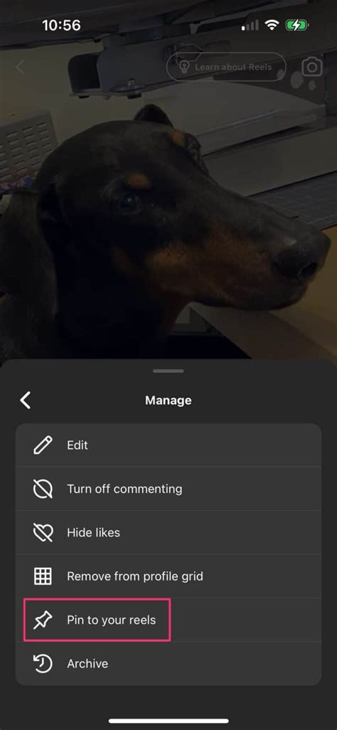 How To Repost A Reel On Instagram To Feed Stories And Reels