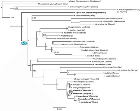 bayesian 50 majority rule consensus tree from 15 002 trees generated