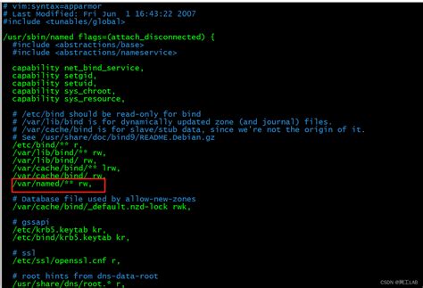 bind9 最简方法配置chroot bind9配置 csdn博客