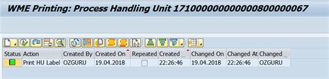 Solved Print HU Label Error Data Are Not Available SAP Community