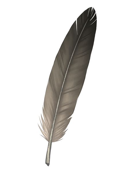 Dessin Plume Simple Dessiner Une Plume étape Par étape Unlecj