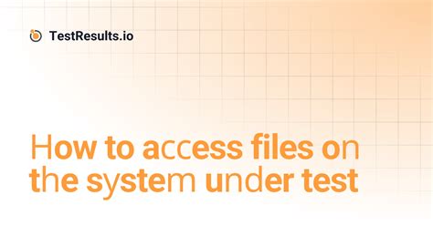 How To Access Files On The System Under Test