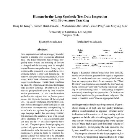 Human In The Loop Synthetic Text Data Inspection With Provenance