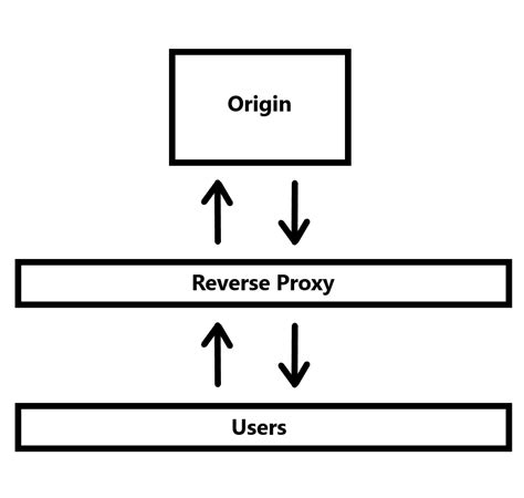 What Are Reverse Proxies When Are They Used Bunny Net