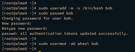 Guide To Install Vnc Server On Almalinux 9