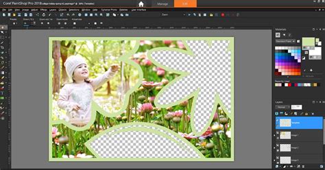 Understanding Transparency In PaintShop Pro Corel Discovery Center