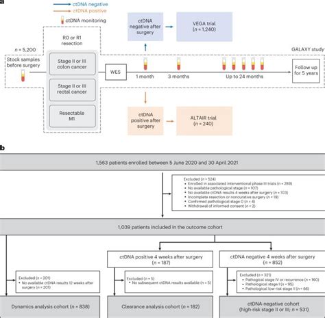 Joseph Steward On Linkedin Molecular Residual Disease And Efficacy Of Adjuvant Chemotherapy In…
