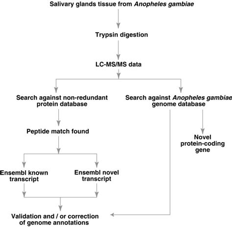 A Workflow Depicting The Steps Involved In Mass Spectrometry Data Download Scientific Diagram