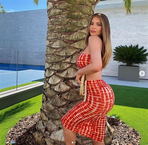 Kylie Jenner Teases Her Assets And Shows Off Her Figure In Gorgeous