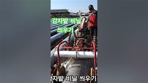 감자밭 비닐 씌우기 관리기로 감자심는시기 백색비닐 투명비닐 수미감자 감물감자 괴산감자 괴산 풀뿌리농장 Shorts Youtube