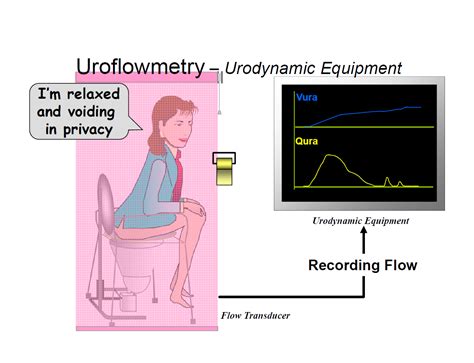 Uroflowmetry Urology Clinic In Selangor Malaysia