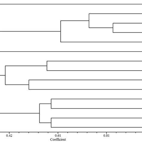 Dendrogram Derived From A Upmga Analysis Using Dice Coefficient Based