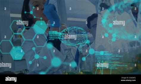 Image Of Scientific Data Processing Over Diverse Scientists In