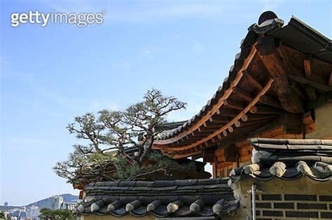 로우앵글 기와지붕 담장 처마 기와집 소나무 북촌한옥마을 가회동 종로구 서울 이미지 A12635635 게티이미지뱅크