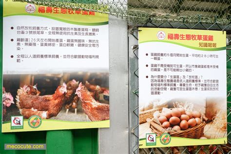 【台中農場】福壽生態農場，福壽生態牧草蛋、寵物食品、穀類食品等等多樣食品生產 陳小可的吃喝玩樂