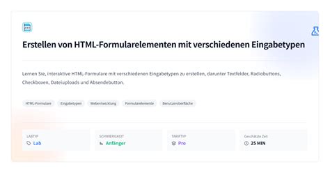 Erstellen Von Html Formularelementen Mit Verschiedenen Eingabetypen Labex
