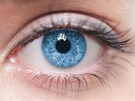 Could Blue Eyes Be A Result Of Inbreeding Page 2
