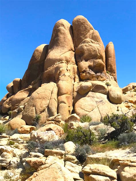 Majestic Rock Formations In Joshua Tree National Park Johnrieber
