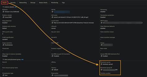 Learn The Ins And Outs Of AWS Placement Groups