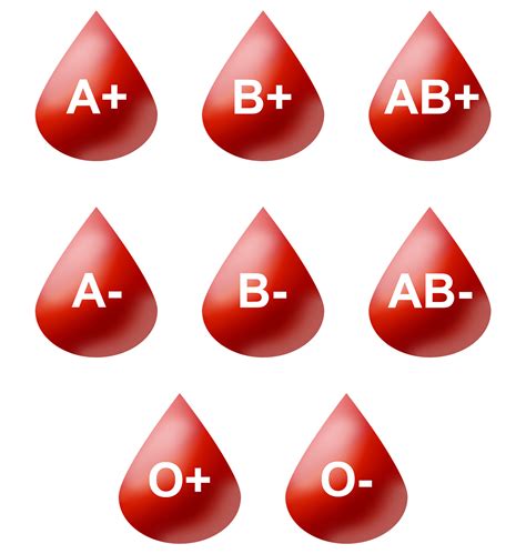 Why Do We Have Different Blood Types A Look At Evolution And